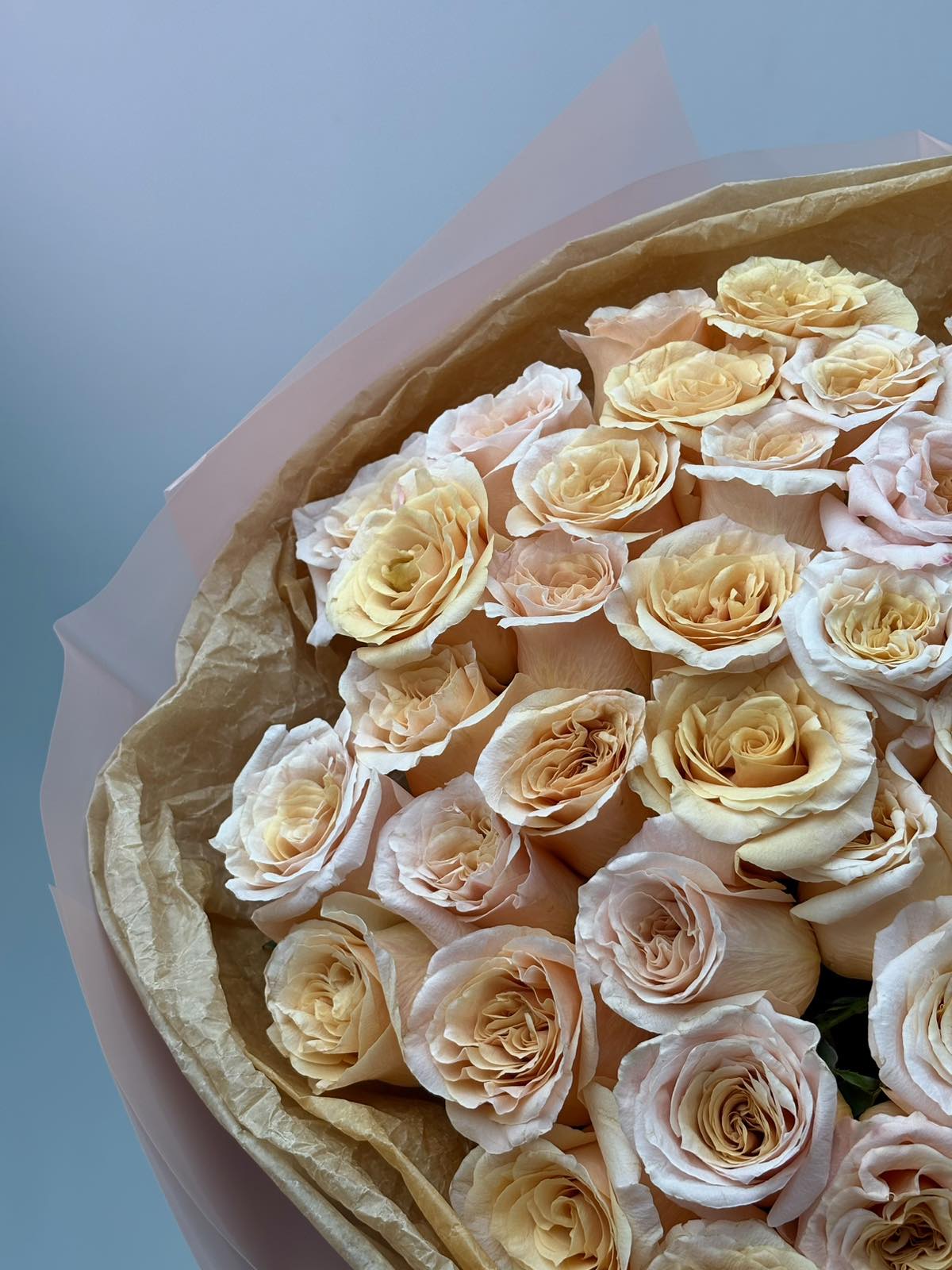 Peach long stem roses 70cm - DOZARI STUDIO - Same Day Flower Delivery ...